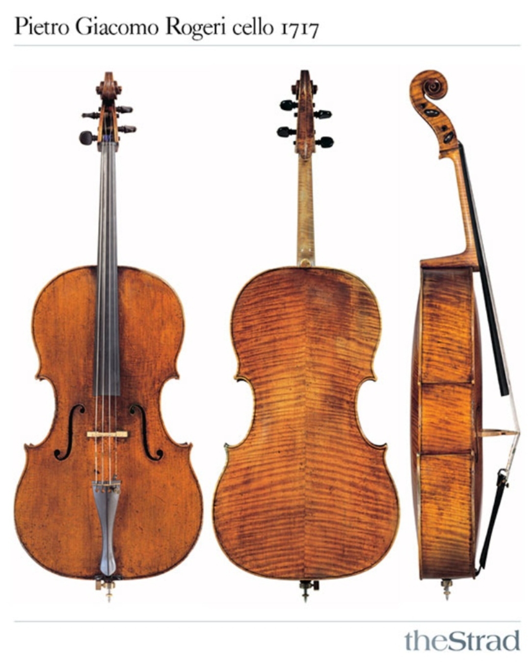CURIOSITY ABOUT SOME WONDERFUL LUTHERY INSTRUMENTS – Pier Paolo Maccarrone